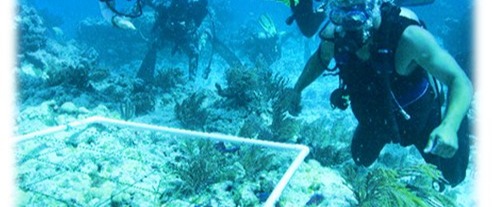 Biologia Marinha: Oceanografia Química - Parcela Única - IPETEC ...